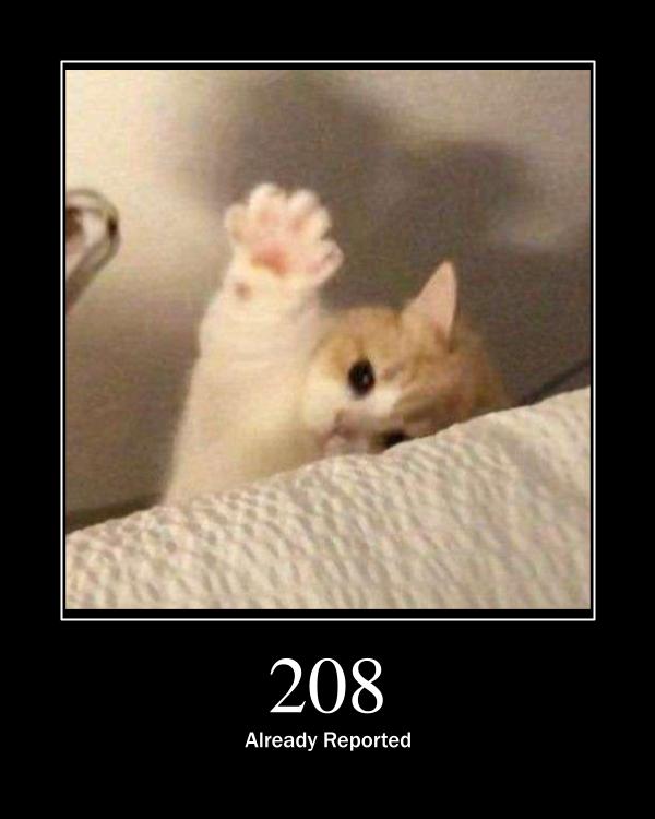 208 Already Reported | HTTP Cats