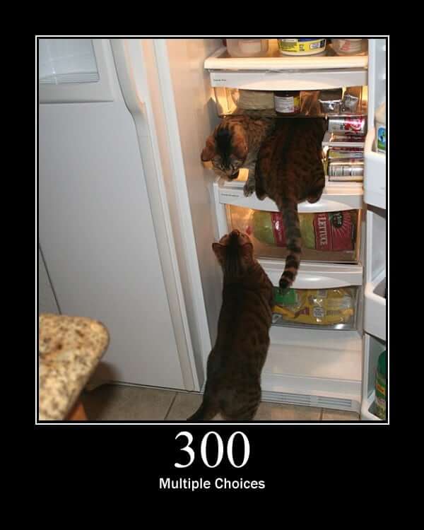 300 Multiple Choices | HTTP Cats