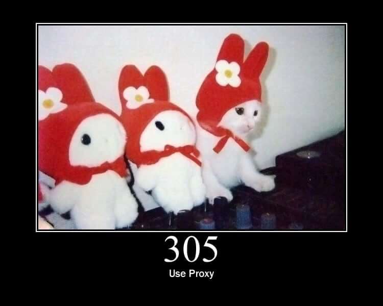 305 Use Proxy | HTTP Cats