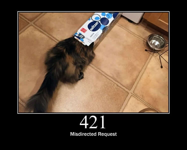 421 Misdirected Request | HTTP Cats