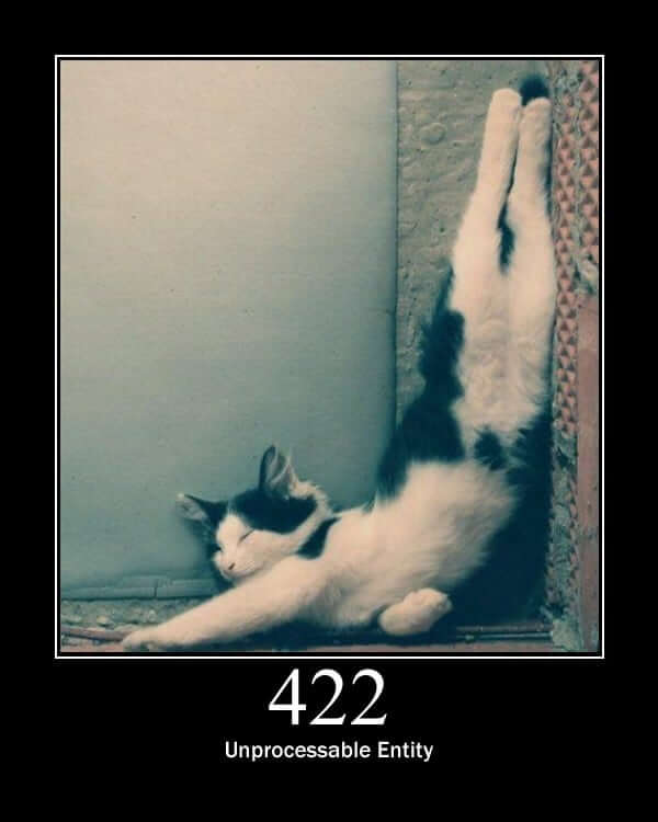 422 Unprocessable Entity | HTTP Cats 422 Unprocessable Entity | HTTP Cats