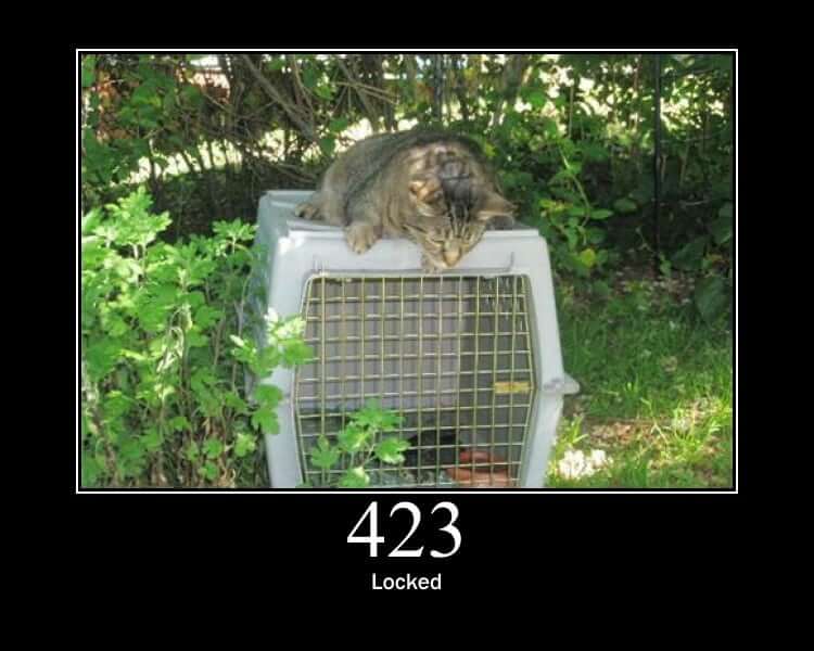 423 Locked HTTP Cats 423-locked-http-cats