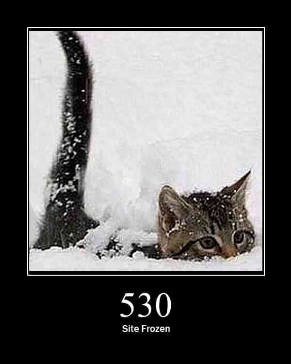 530 Site Frozen | HTTP Cats