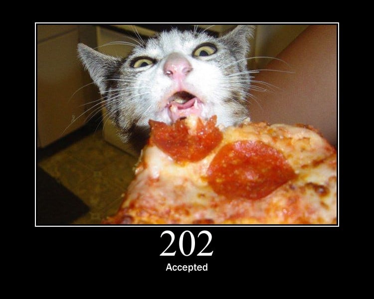 202 Accepted HTTP Cats 202 Accepted HTTP Cats